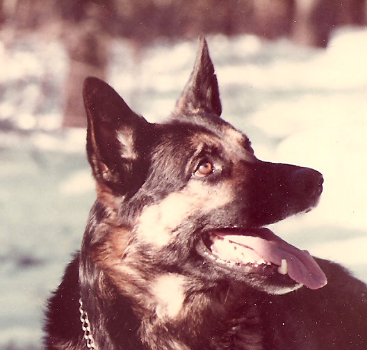 Stumpy Wanders: Monday Memories: Demian (1971 - 1984)