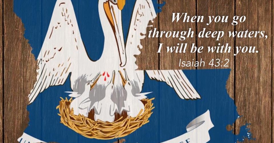 Comfort with a dash of chaos: Love Thy Neighbor: A Lesson in Serving