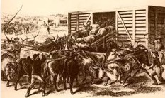 Heroes, Heroines, and History: Nineteenth Century Cowboys ~ Truths and ...