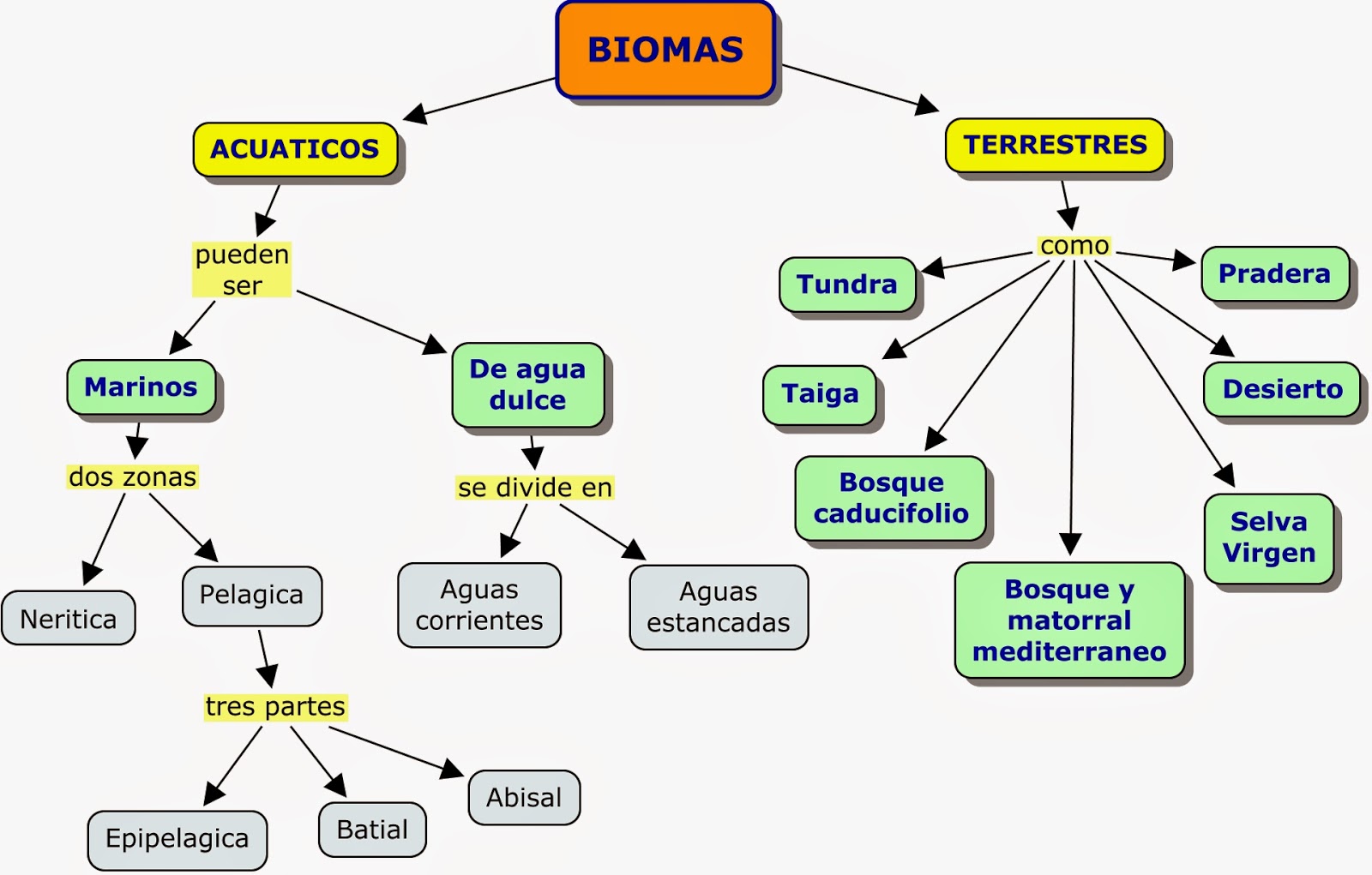 pequeños exploradores hacia un mundo de ciencia: TIPOS DE BIOMAS