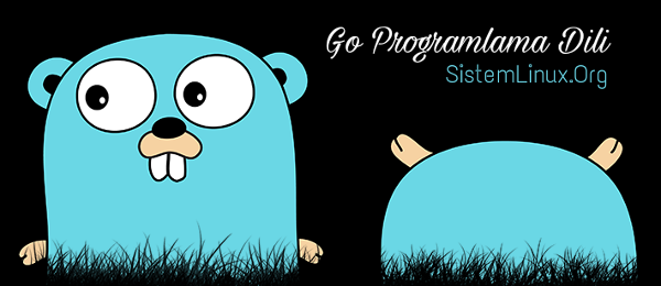 Linux'te Go (Programlama Dili) Nasıl Kurulur?