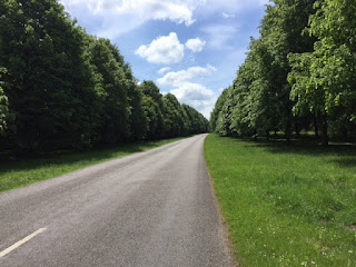 National Trust Scones: Clumber Park