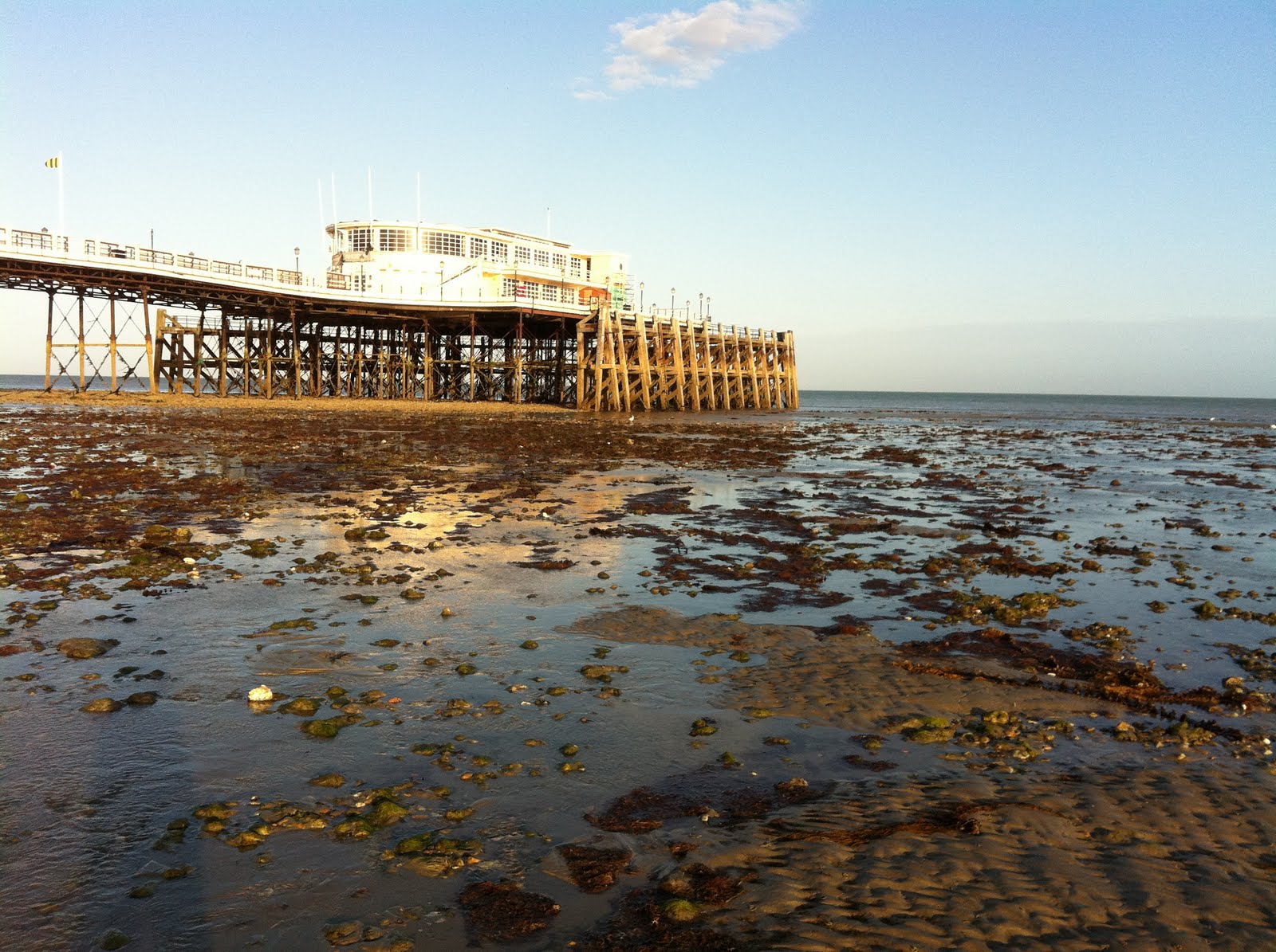 American AngloFUN: Observations of a professional TV watcher