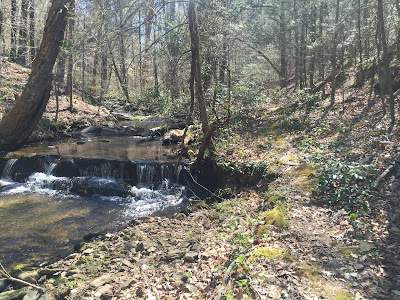 Wandering Virginia: Sprouts Run/Wilson Mountain Loop: Jefferson ...