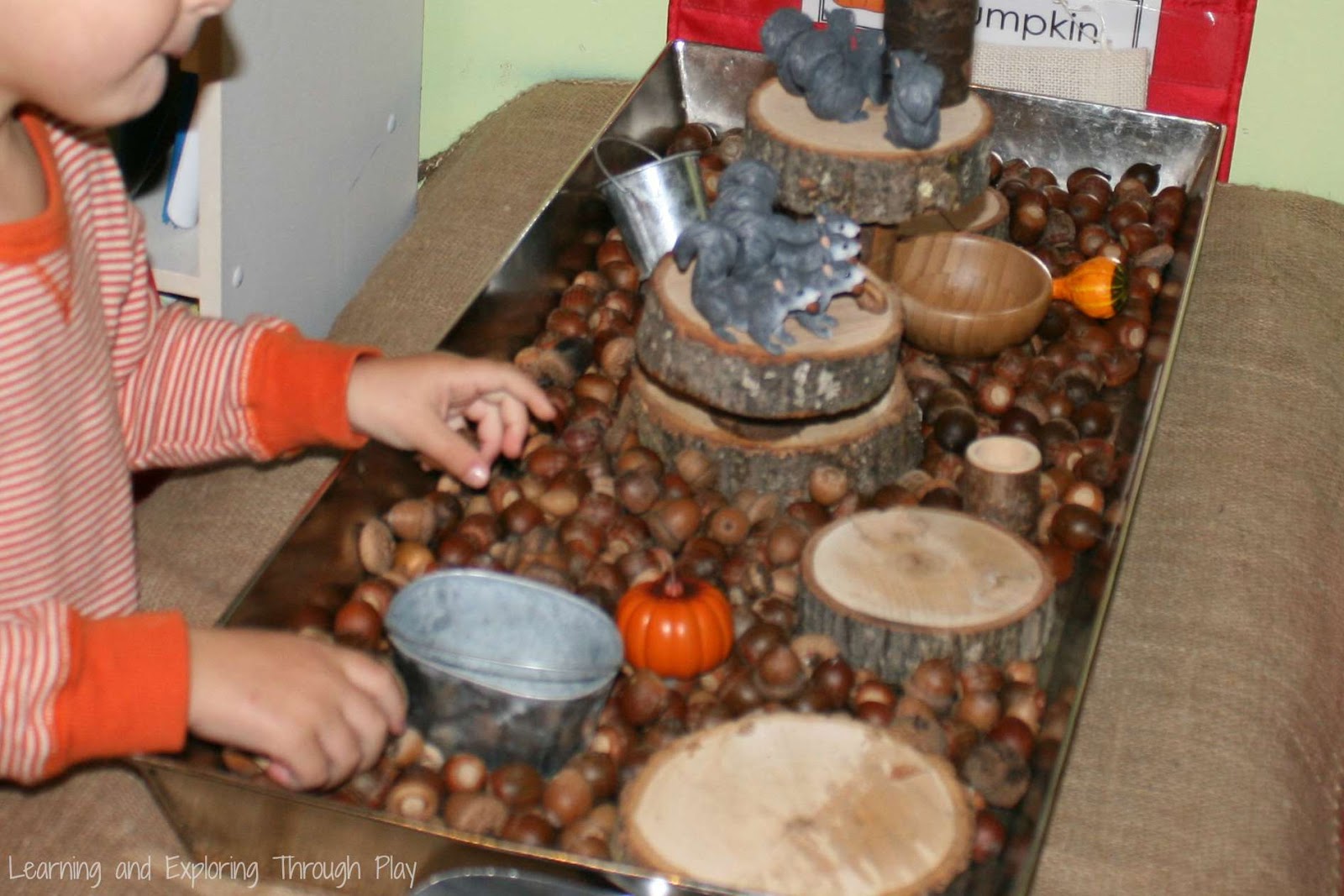 Learning and Exploring Through Play: Autumn Squirrel Sensory Bin