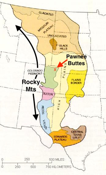 In the Company of Plants and Rocks: River of Rock