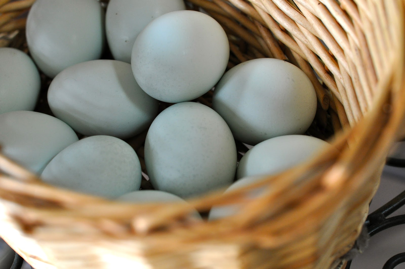 St. Theophan Academy: blue eggs