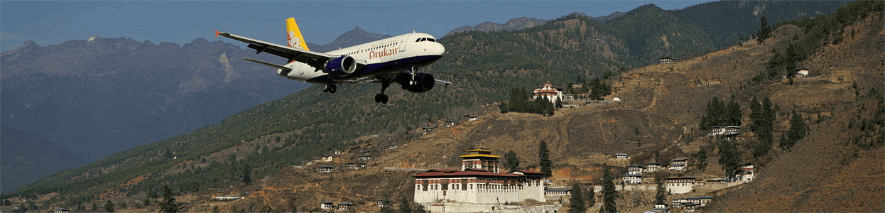 TurtleTreeCreations "Spontaneous Alchemical Combustions!": Quid-Pro-Quo