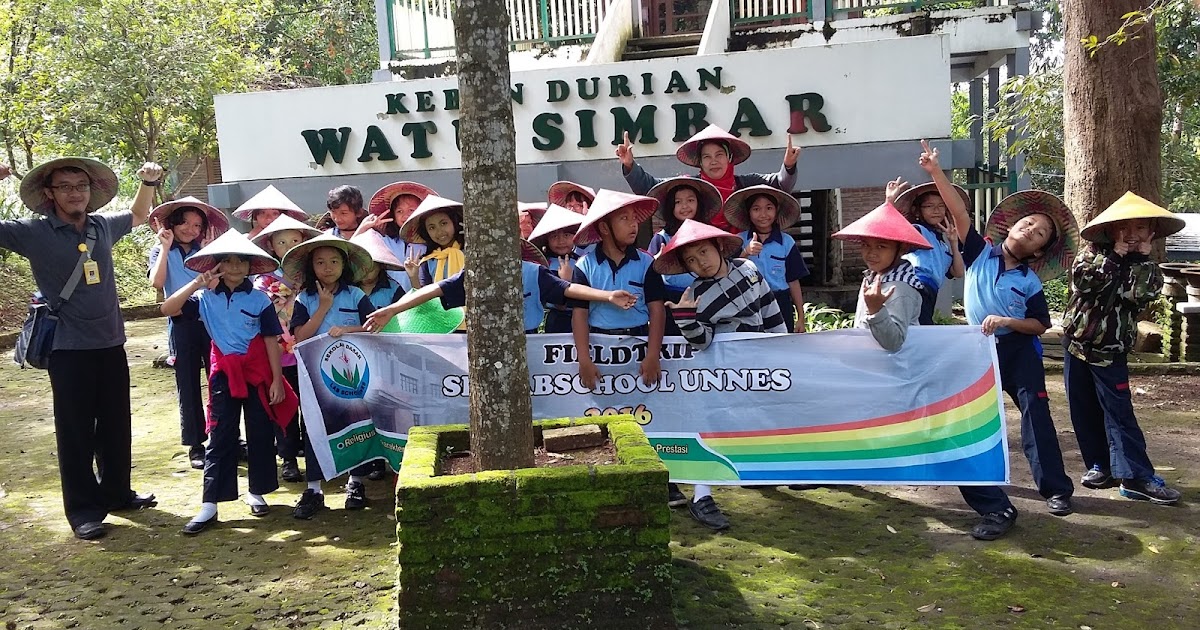Berkunjung ke Kebun Durian Watu Simbar (Field Trip Kelas 3 SD Labschool ...