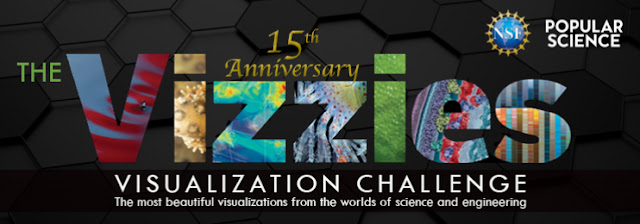 La ciencia premia la imagen de la lengua de signos