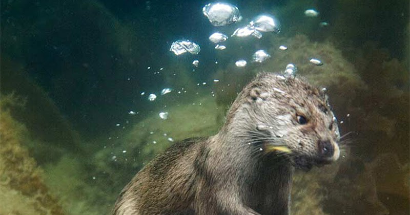 If It's Hip, It's Here (Archives): The 20 Most Incredible Photos Of ...