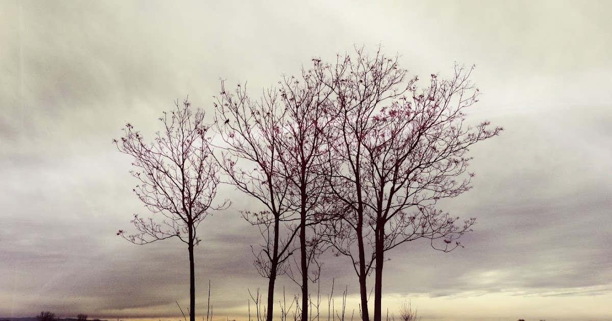 Lourdes Pujols: YURIATIN