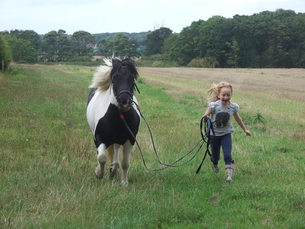 People Like Ponies etc.: The Project