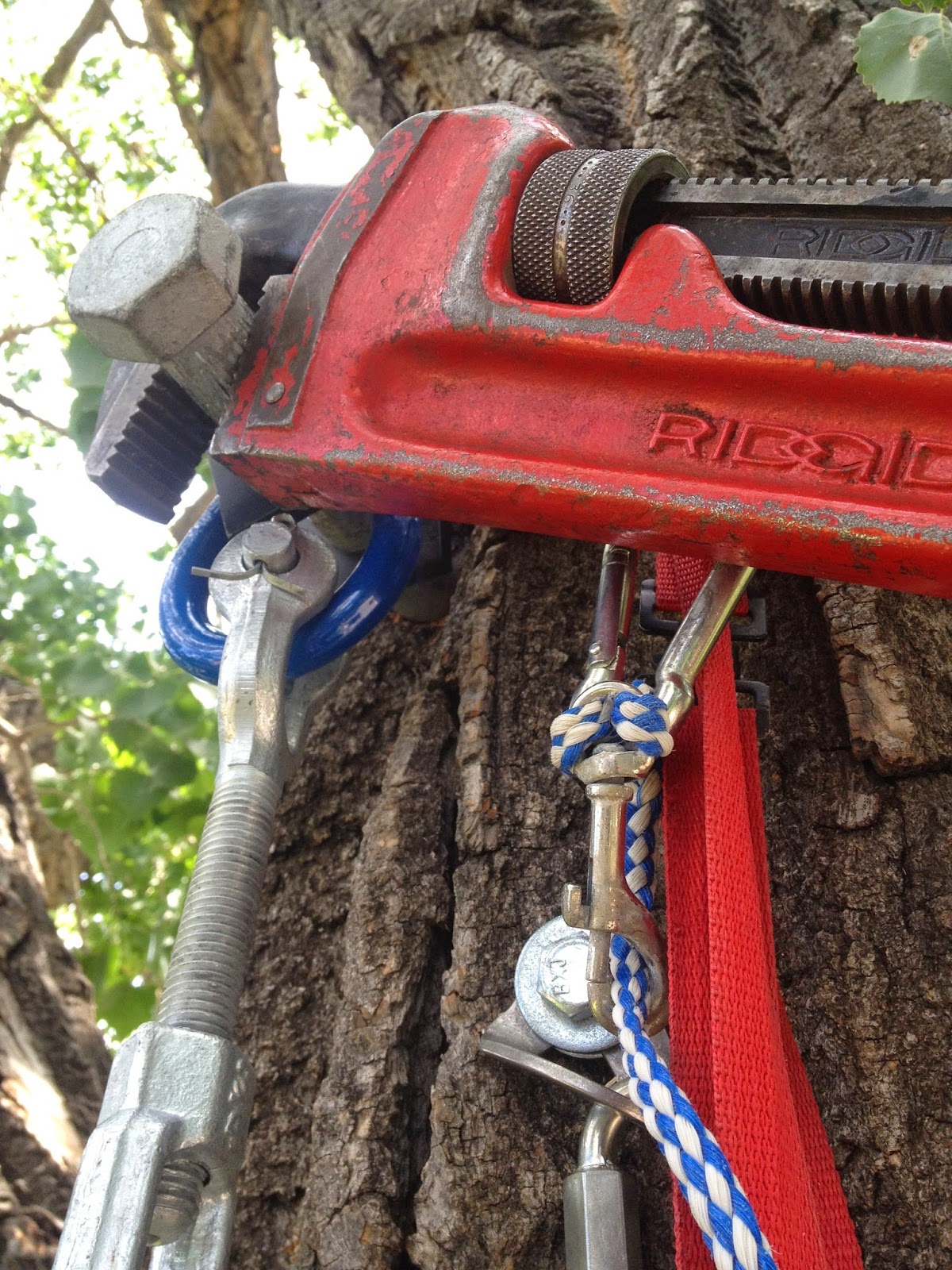 The Treehouser: Part 8: The Most Important Treehouse Design Feature