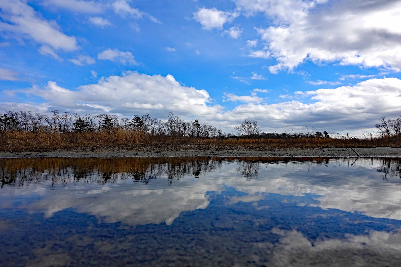 Joe's Retirement Blog: Tidmarsh Wildlife Sanctuary, Mass Audubon ...