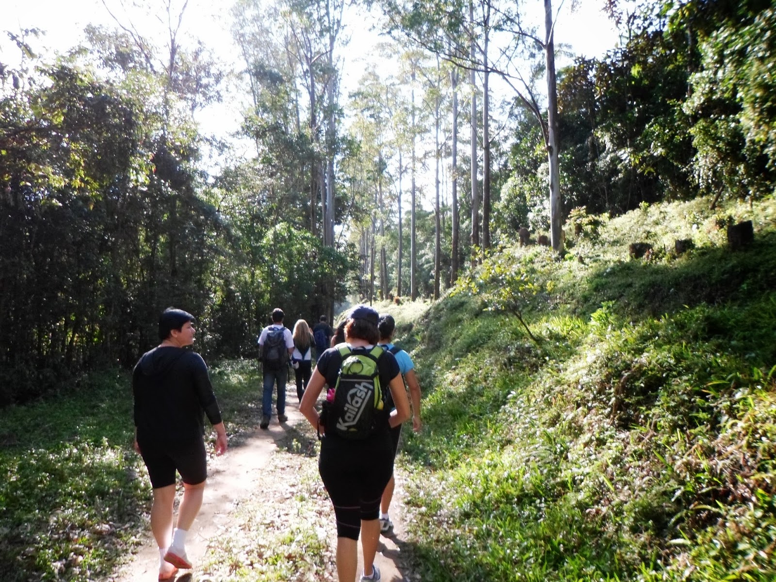 Trilhas e Viagens: Nucleo Santa Virginia