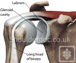 Precision Acrobatics with Ariel + Liz: Shoulder pre-habilitation for ...