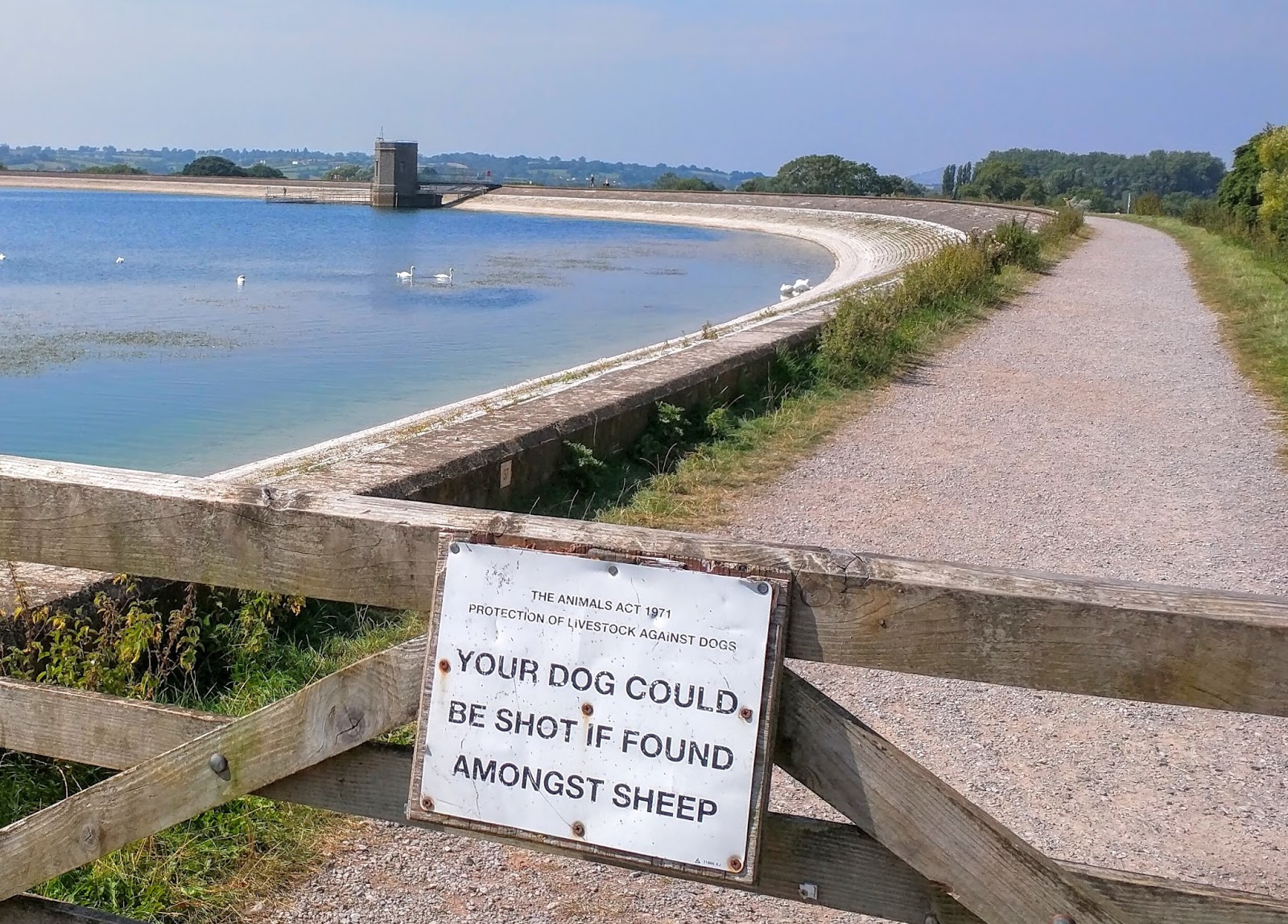 Wading Through Treacle: Cheddar reservoir