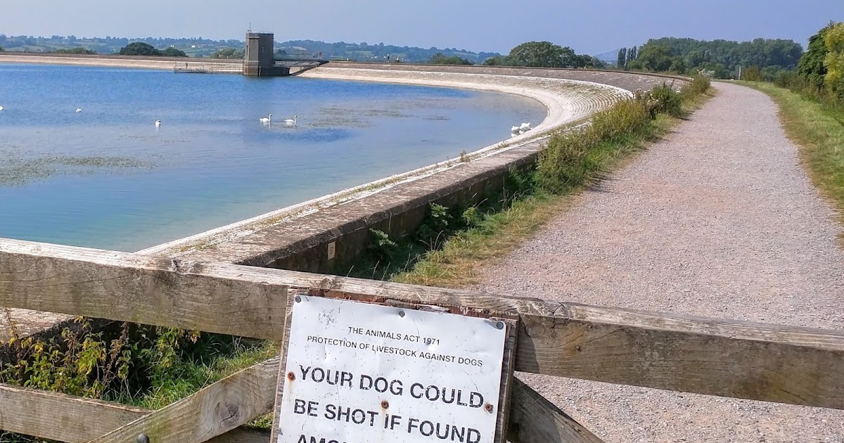 Wading Through Treacle: Cheddar reservoir