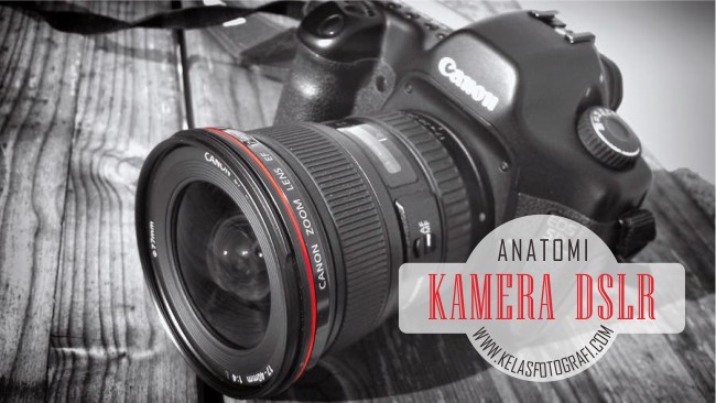 Inuhaqi SpotShare: Mengenal tombol pada kamera DSLR Inuhaqi SpotShare: Mengenal tombol pada kamera DSLR