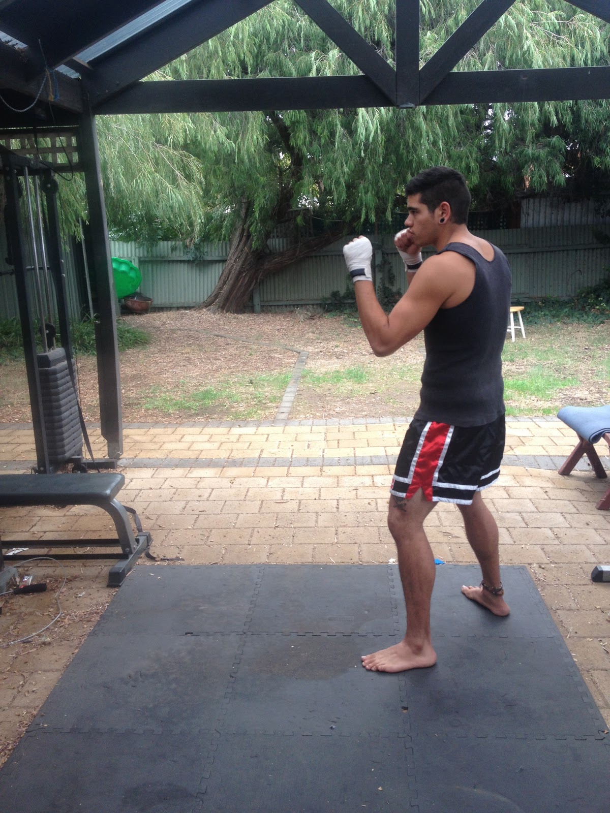Muay Thai Boxing Biomechanics