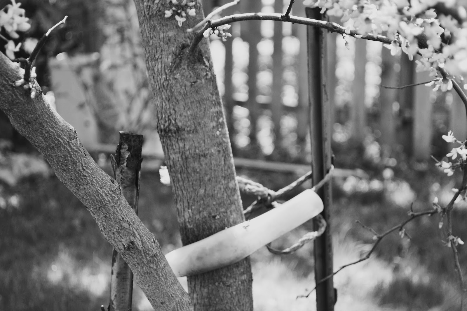 she breathed deeply.