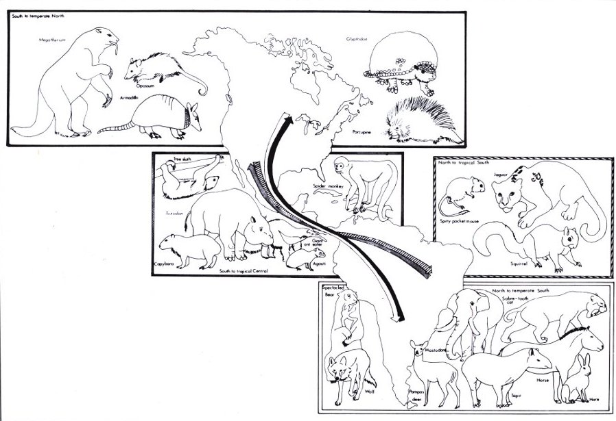 el Blog del Profe de Biolo: Costa Rica y Panamá: puente y filtro biológico