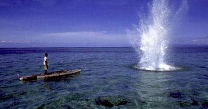 My Little Adventures: Stop! Dynamite Fishing