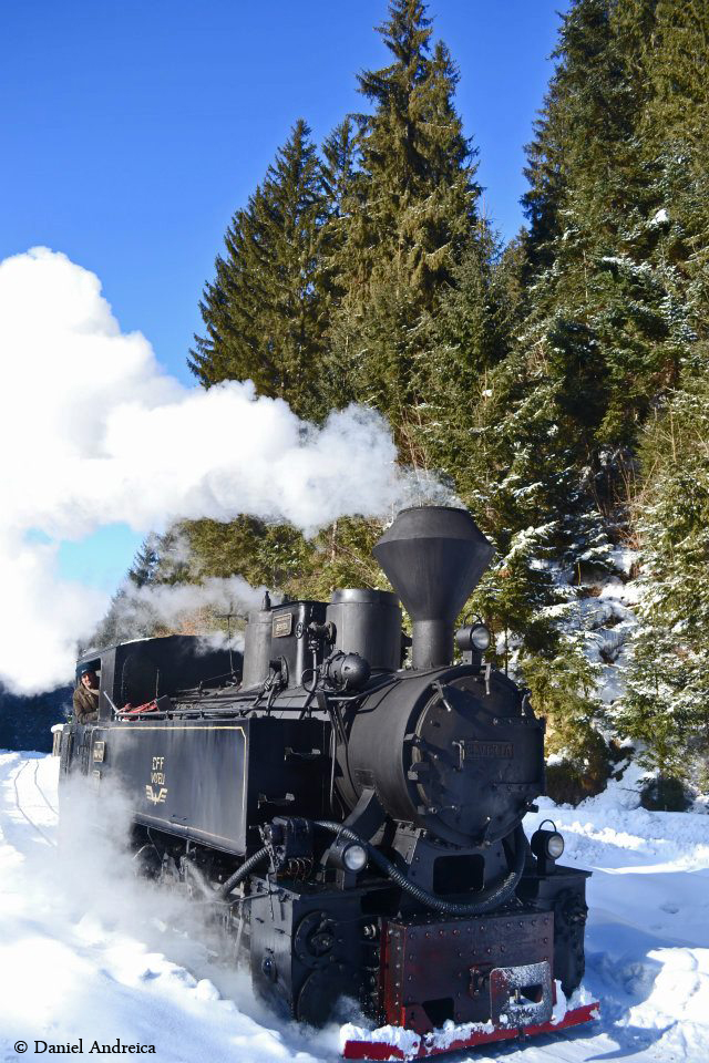 Fotografie iarna cu Mocanita de pe Valea Vaserului - de Daniel Andreica