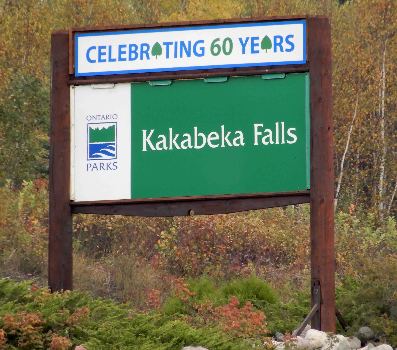 Cat Patches: Thunder Bay, Ontario, Canada