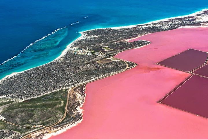 Natural Pink Lakes of Perth, Australia - Hutt Lagoon at Port Gregory ...