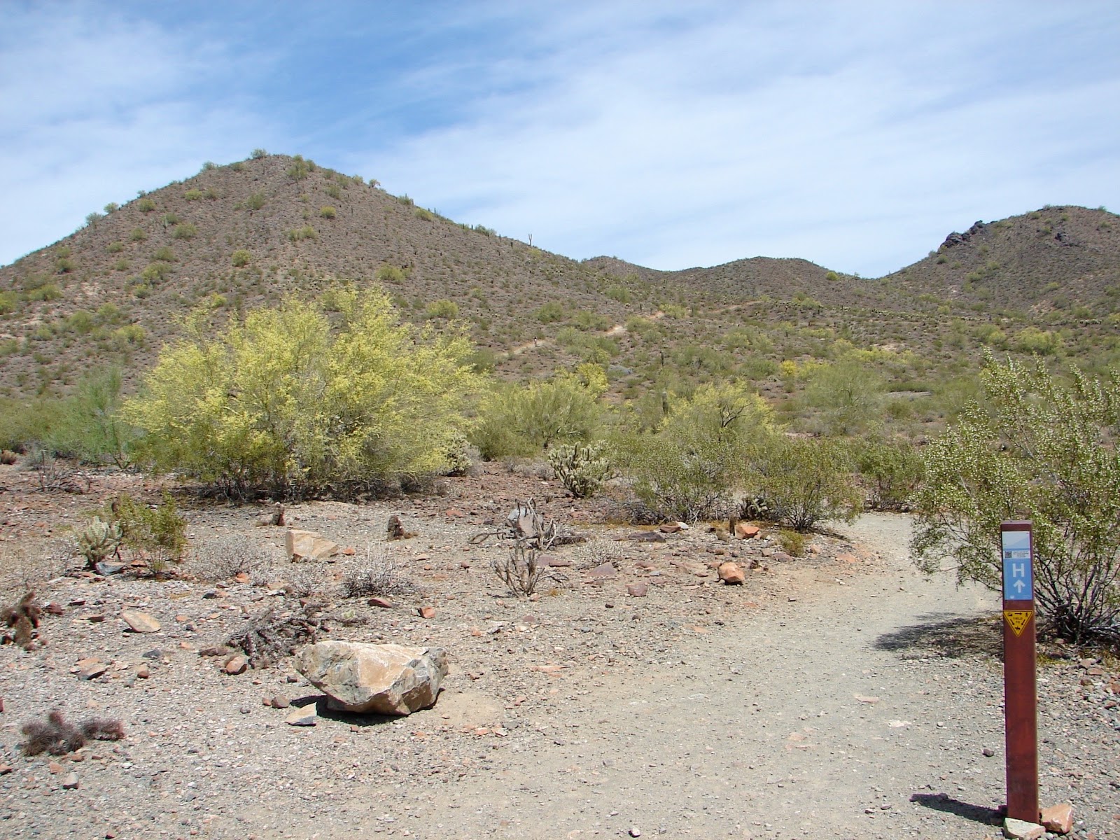 Finding Arizona: Urban Trailhead - Desert Vista