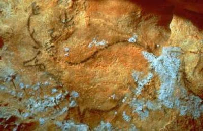 alvor-silves: Cosquer - caverna rupestre submersa