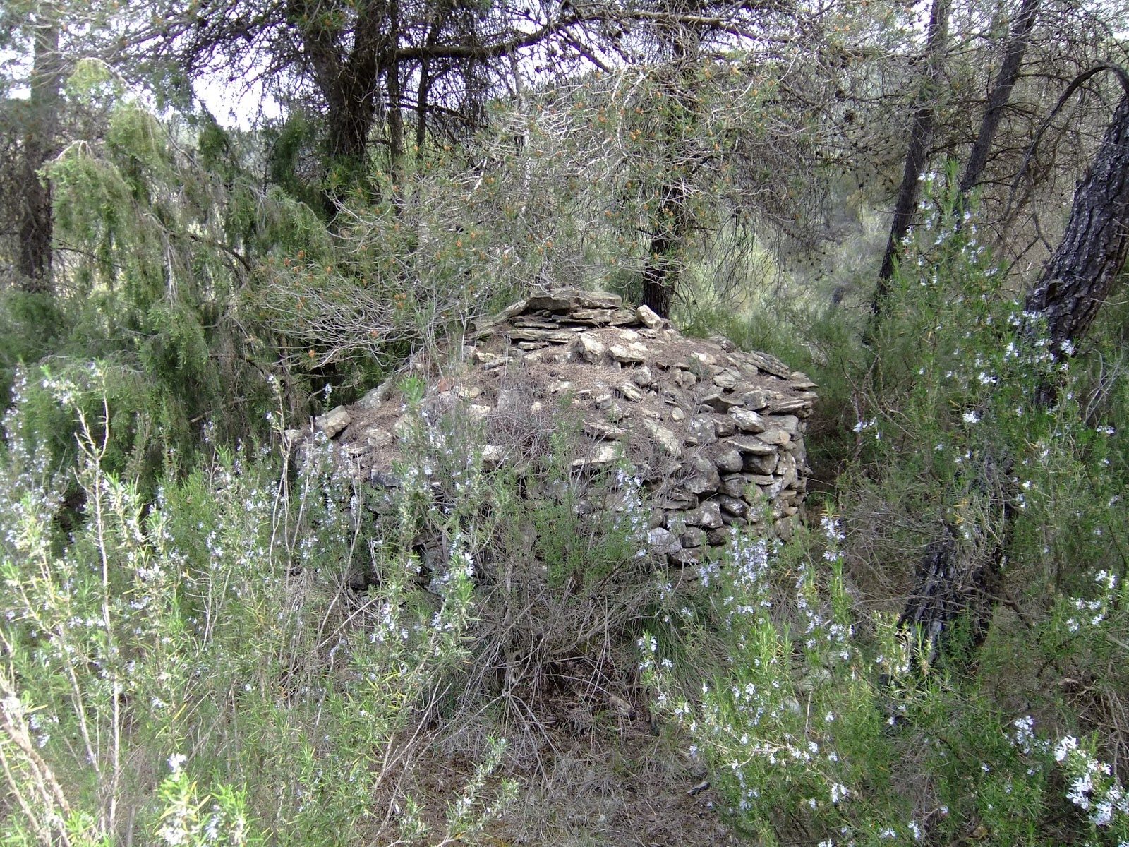 Amagatalls de Sant Llorenç del Munt i l'Obac: de maig 2018