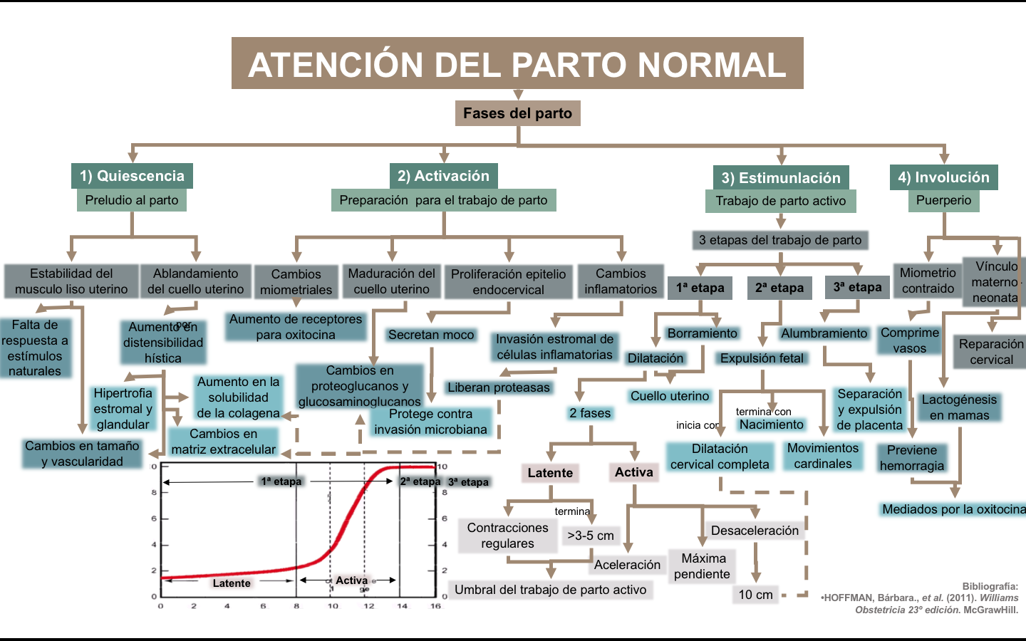 BLOG DE EVIDENCIAS DE LA MATERIA DE GINECOLOGÍA Y OBSTETRICIA ...