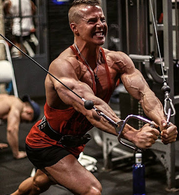 the beauty of male muscle: 2019