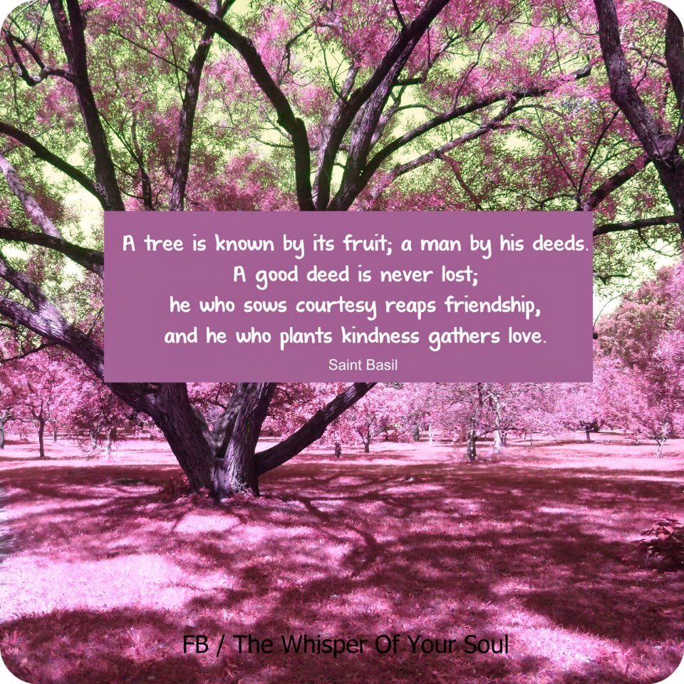 A TREE IS KNOWN BY HIS DEEDS. A GOOD DEED IS NEVER LOST; HE WHO SOWS ...