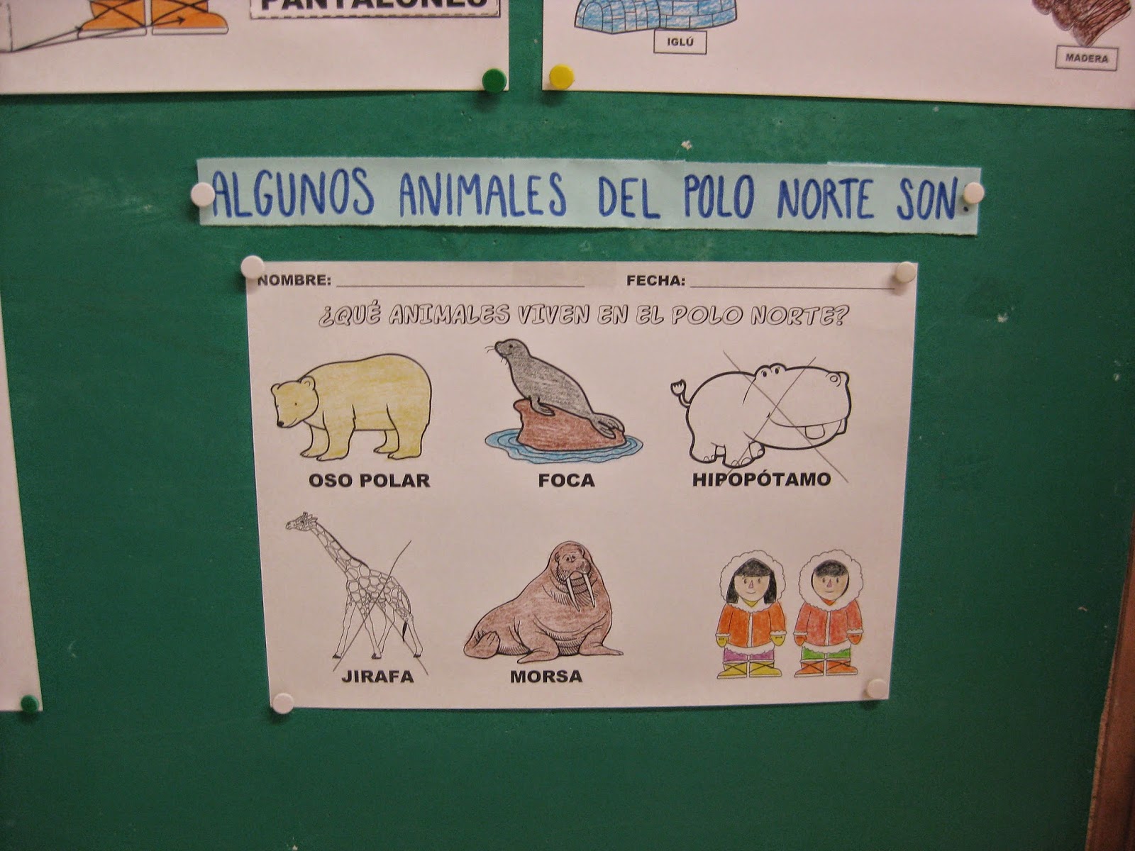 Trabajando con personitas: Los Animales que viven en el Polo Norte