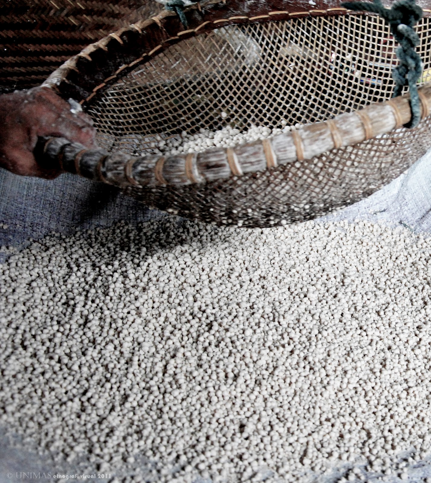 ako a melanau: KEGUNAAN POKOK RUMBIA