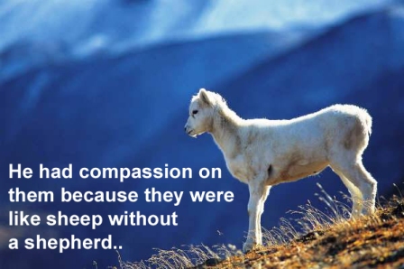 COMPASSION & MERCY (3)