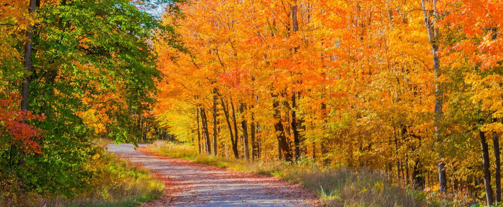 Steve Q Photo: Michigan Fall Color 2010 Day 1 & Day 2 Petoskey ...