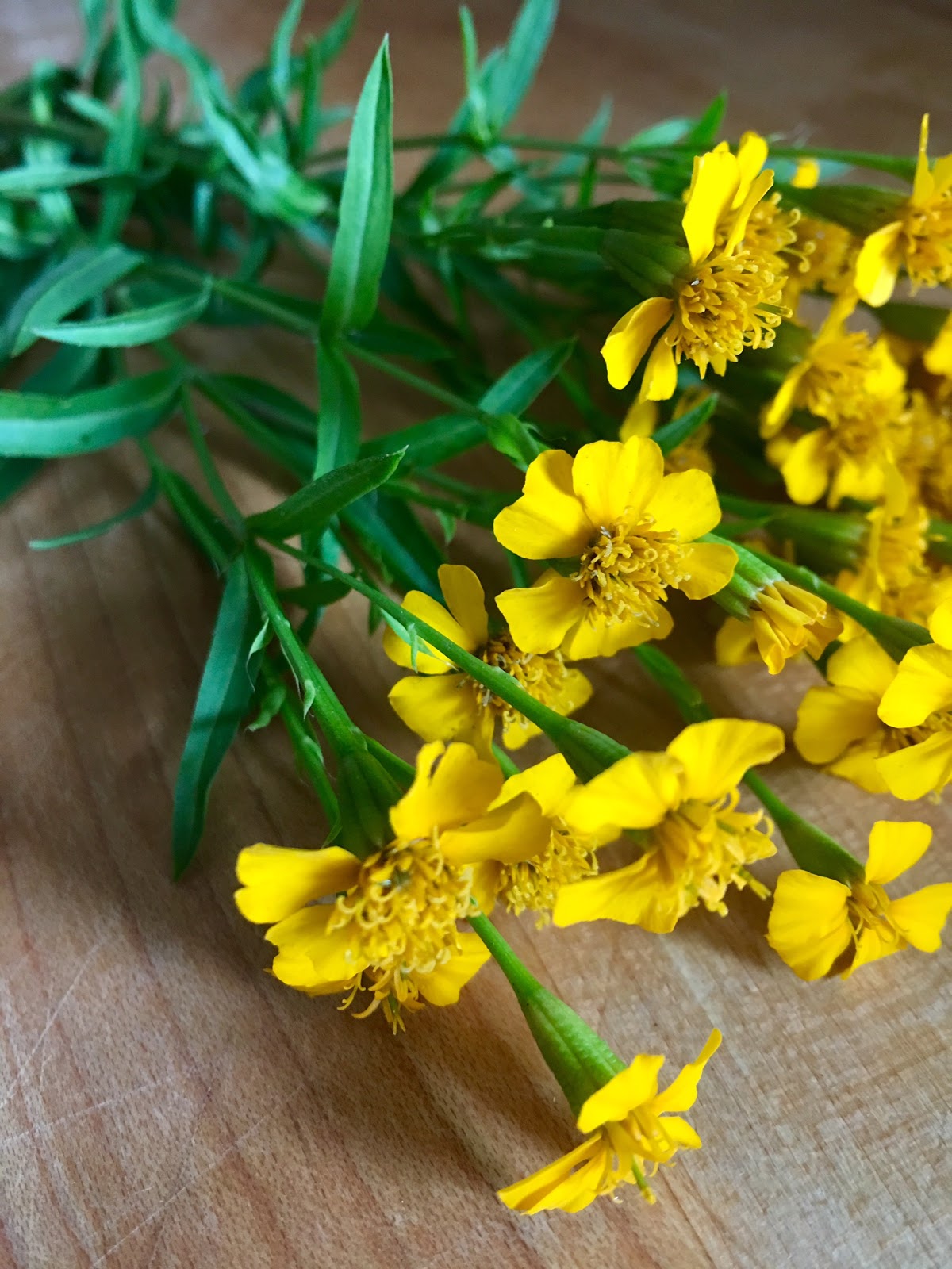 To Market, To Market with San Diego Foodstuff: Autumn Three-Grain Salad