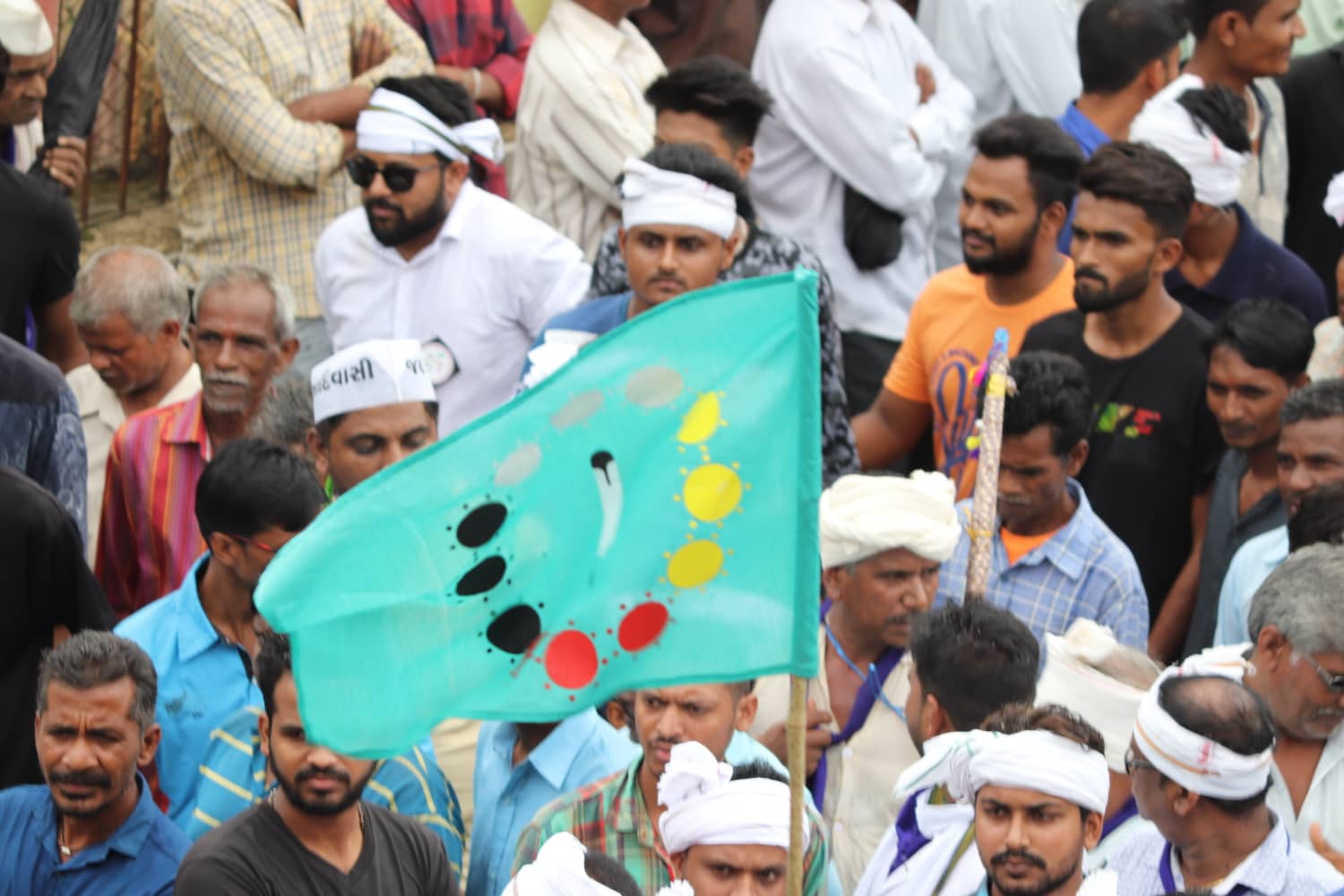 Gujarat, India the Indigenous Unity Flag throughout the State ...