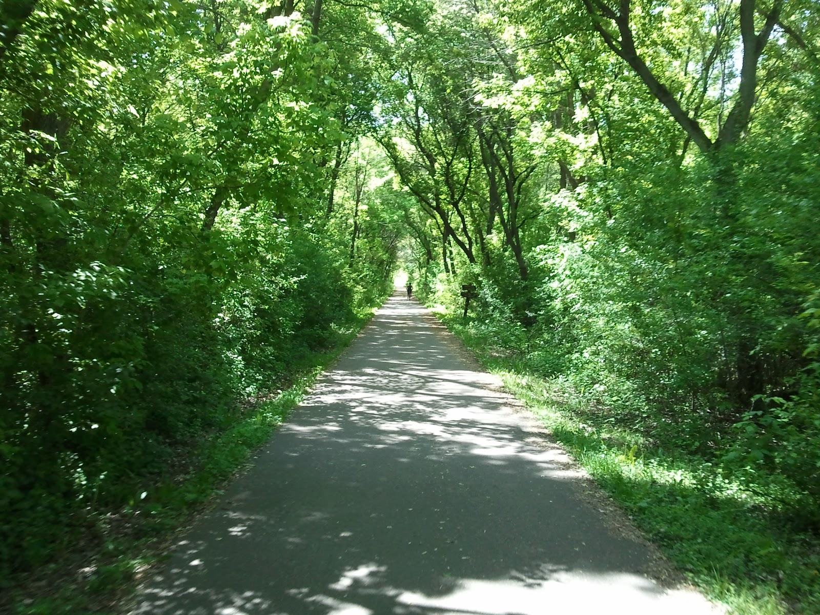 MN Bike Trail Navigator: The Douglas State Trail Offers Views of Rural ...