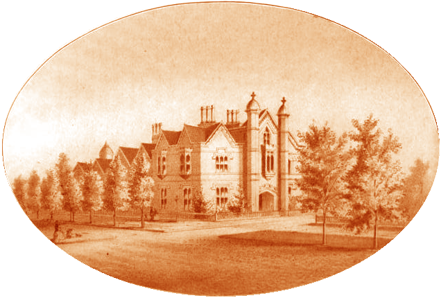 President Millard Fillmore