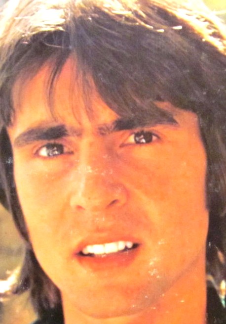 Rock & Roll Love Letters: Davy Jones