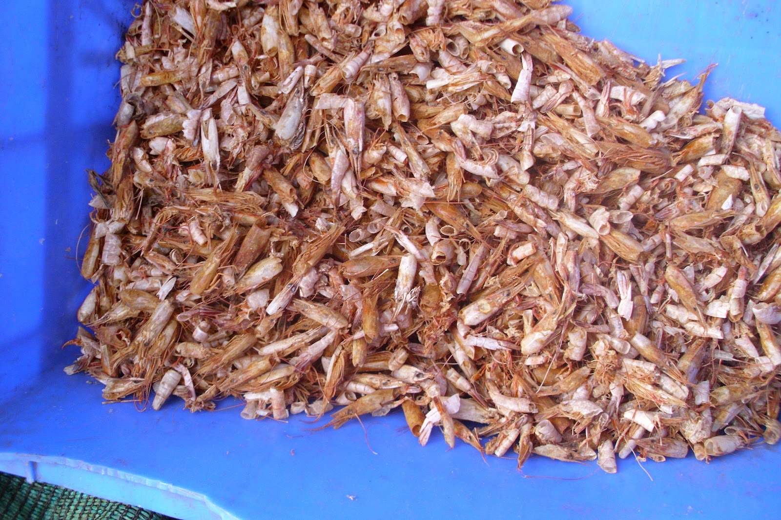 Dhaka ChemieTechs: Dried Shrimp Shell