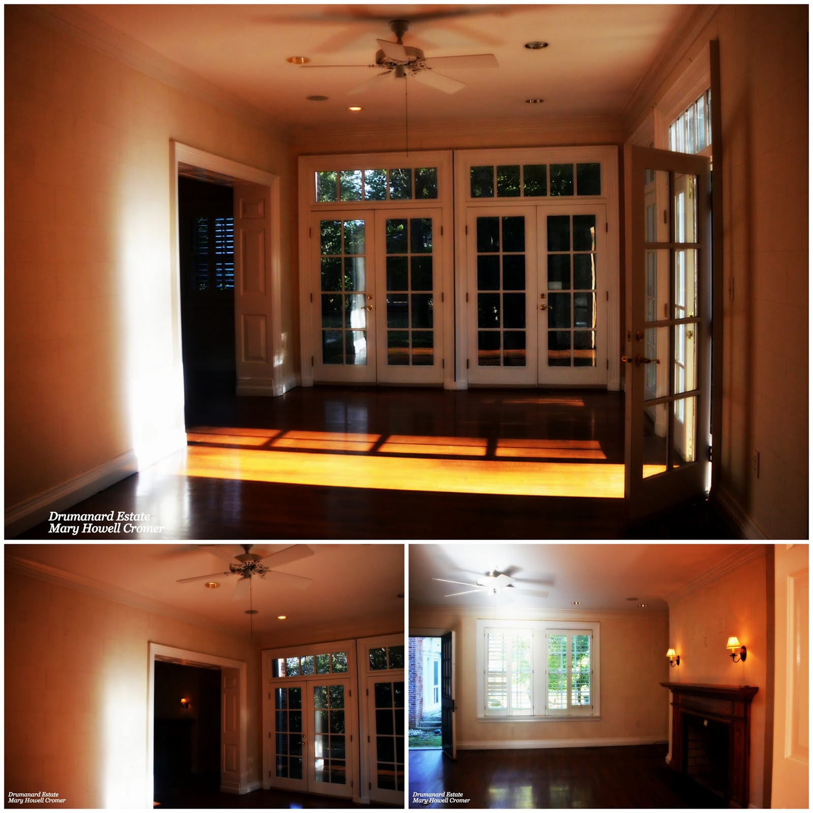 Red-shouldered Hawks of Tingsgrove and Beyond: The Rosewell Mansion ...