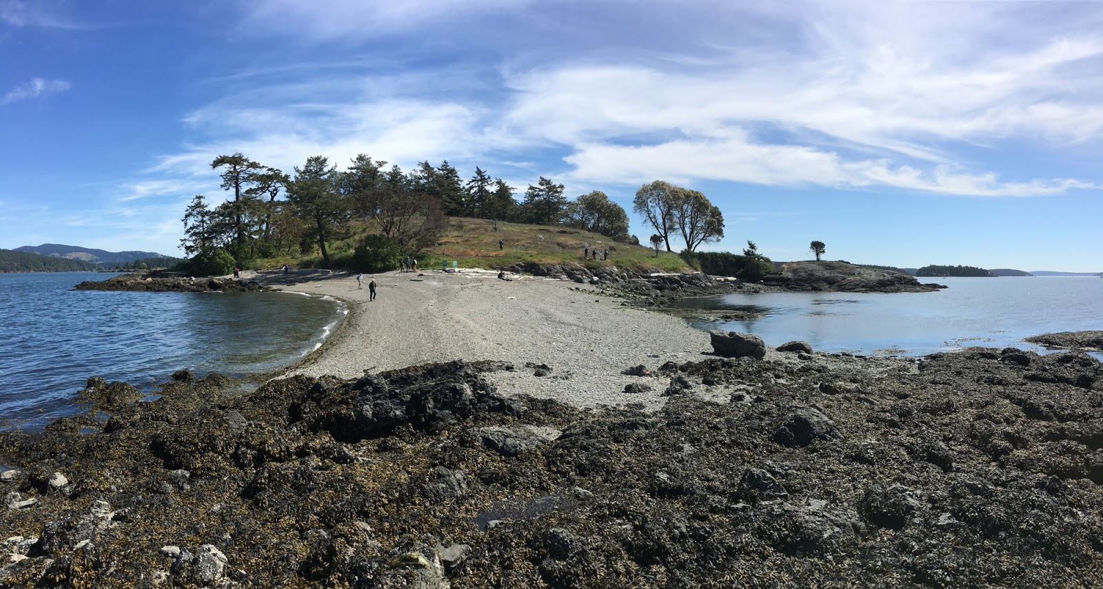 Gravel Beach: Yellow Island