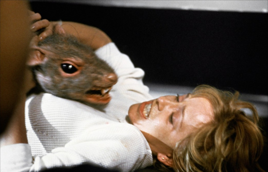 The Horror Club: 80's Horror Hottie: Linnea Quigley